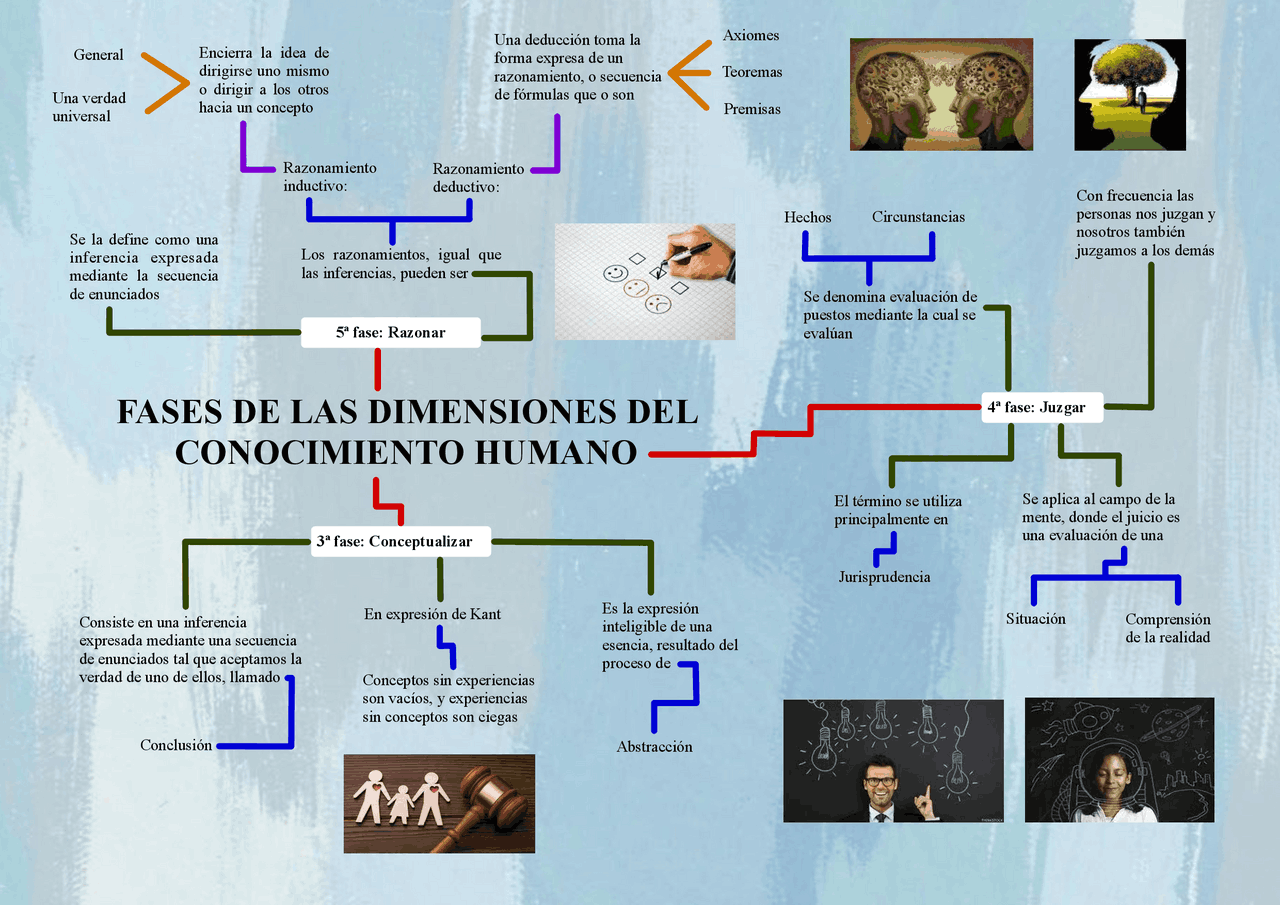 Conocimiento humano trabajo | Apuntes de Anatomía | Docsity
