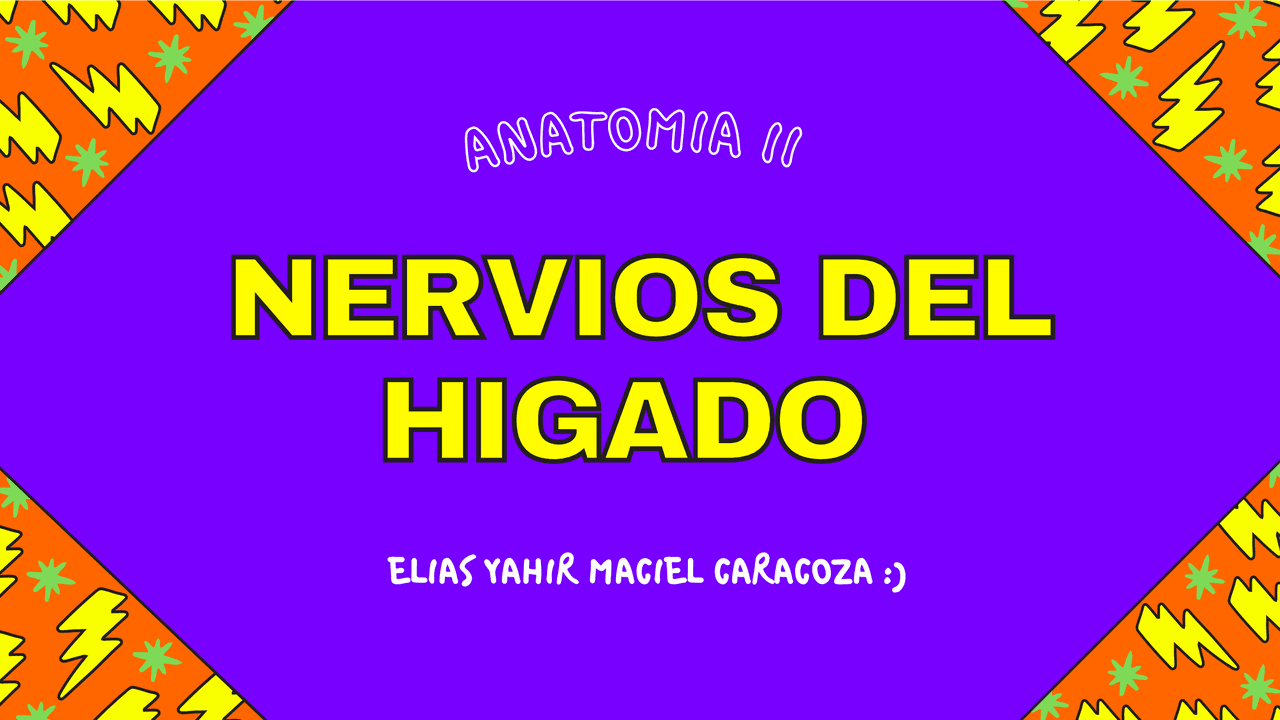 Anatomía Nervios del Hígado | Esquemas y mapas conceptuales de Anatomía ...