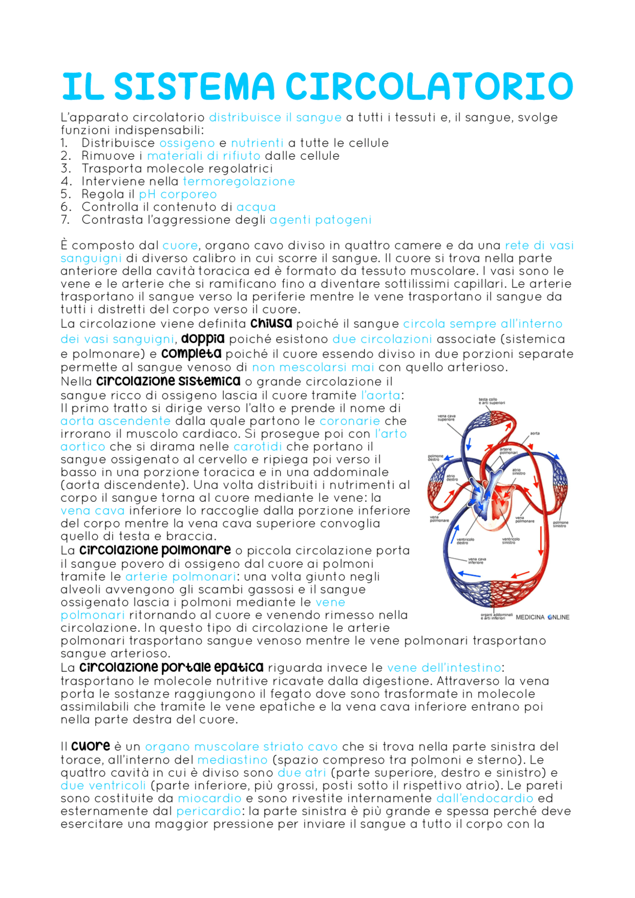 Il Sistema Circolatorio Appunti Di Anatomia Docsity