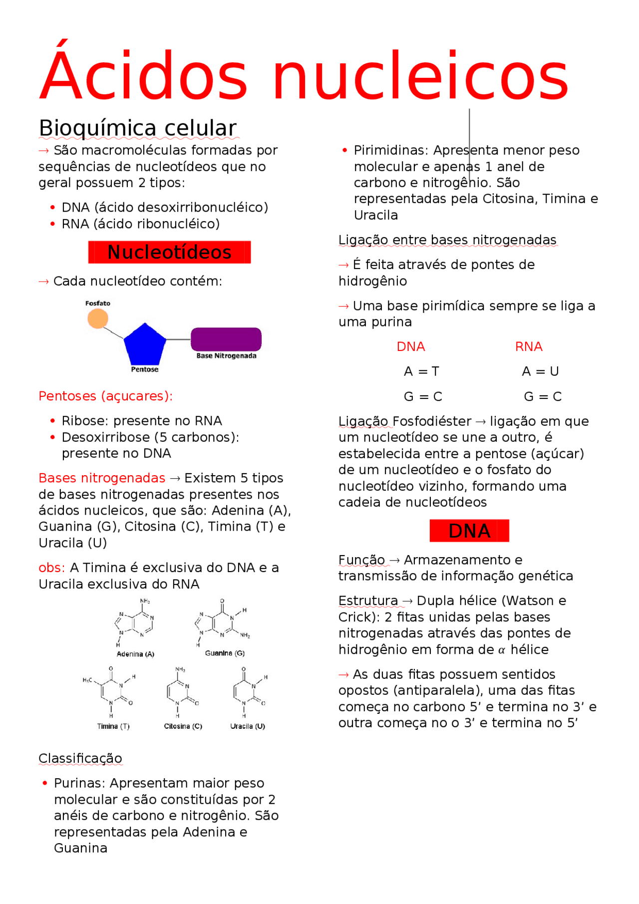 Resumo acerca dos ácidos nucleicos, parte da matéria de bioquímica ...