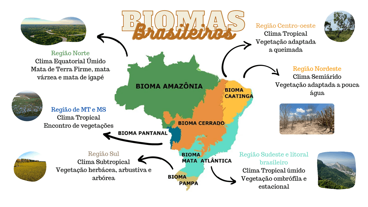 Biomas Brasileiros Resumo Pdf - FDPLEARN