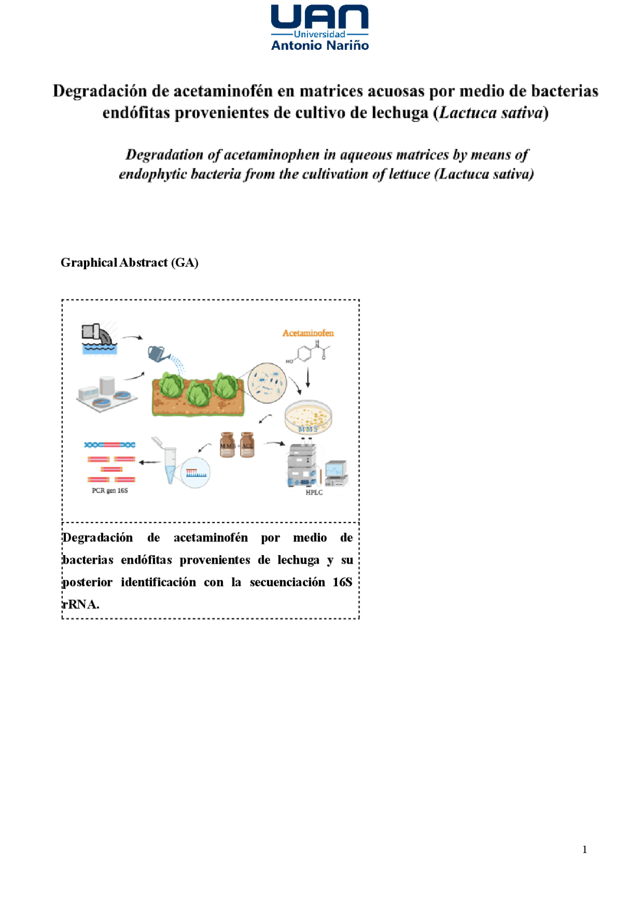 Paracetamol Fármacos 2023 Apuntes De Biología Docsity
