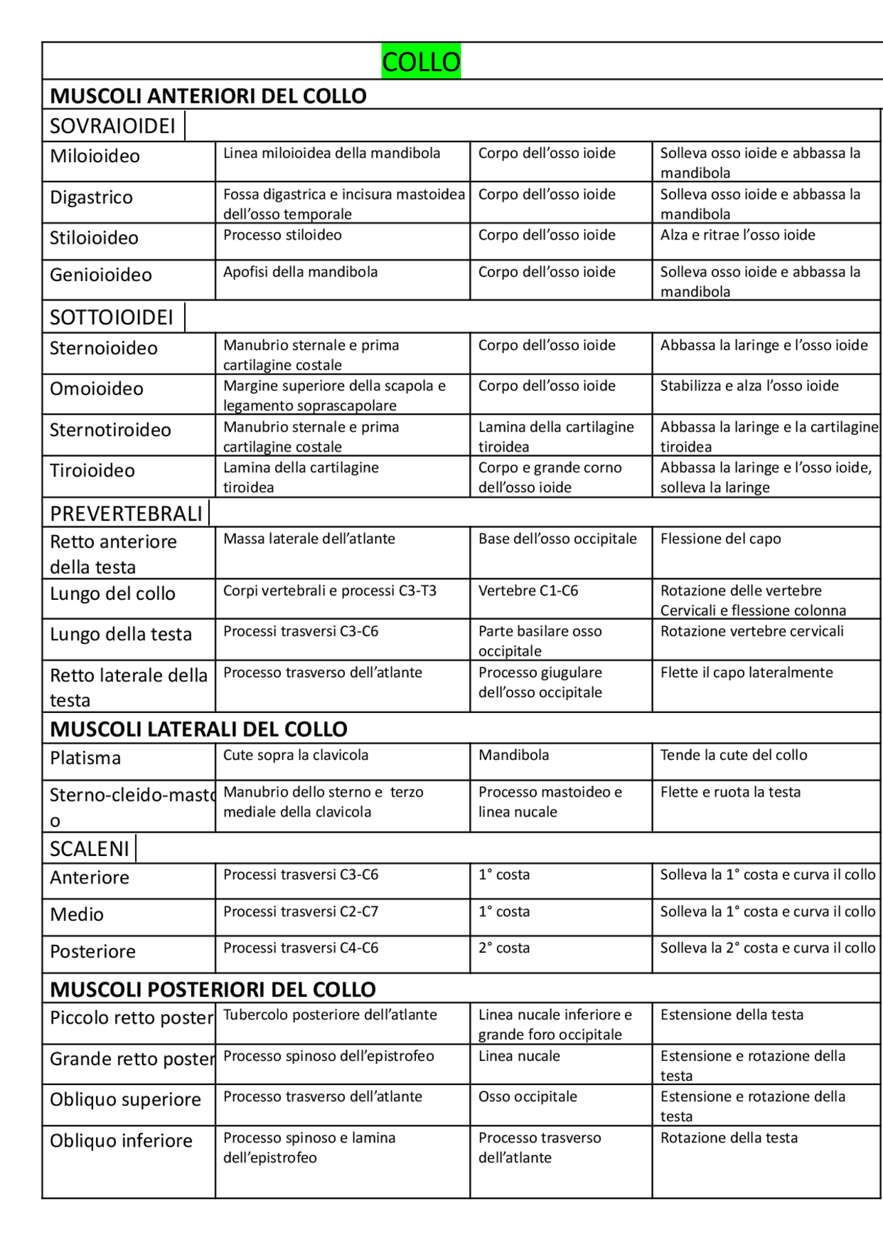 Schema Apparato Locomotore Schemi E Mappe Concettuali Di Anatomia Iii
