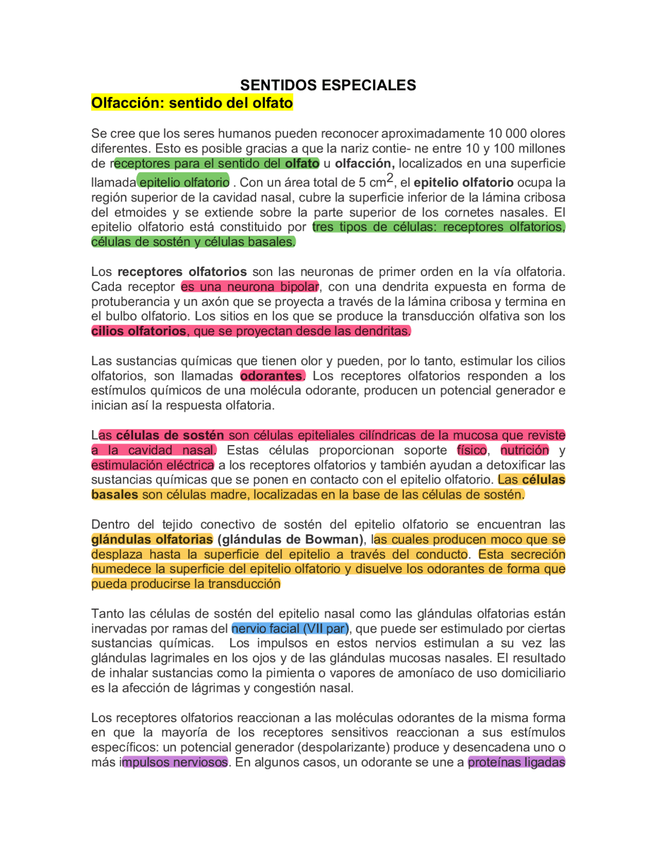Sentidos Especiales Anatomia Tortora Especial Resúmenes De Anatomía