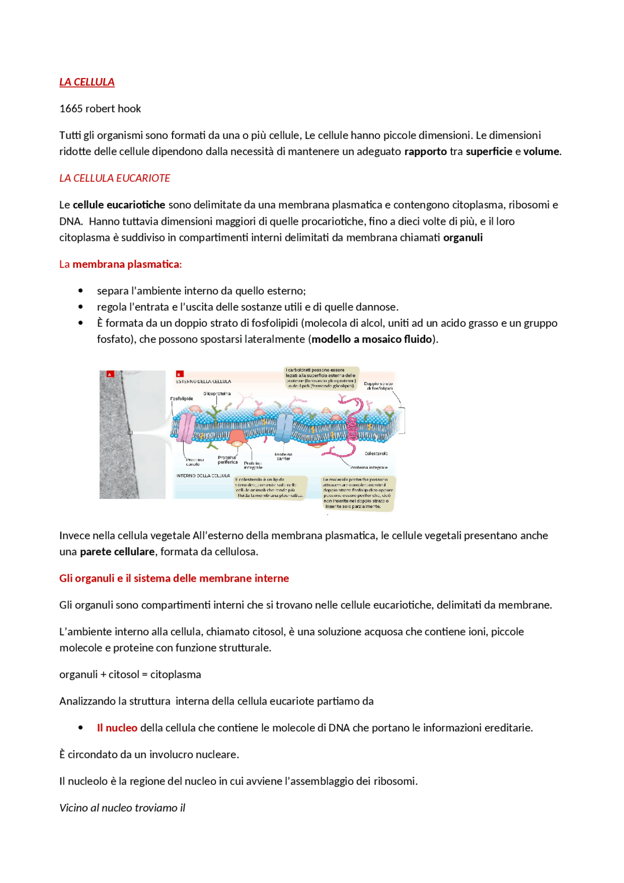 La cellula, la meiosi e la mitosi | Appunti di Biologia | Docsity