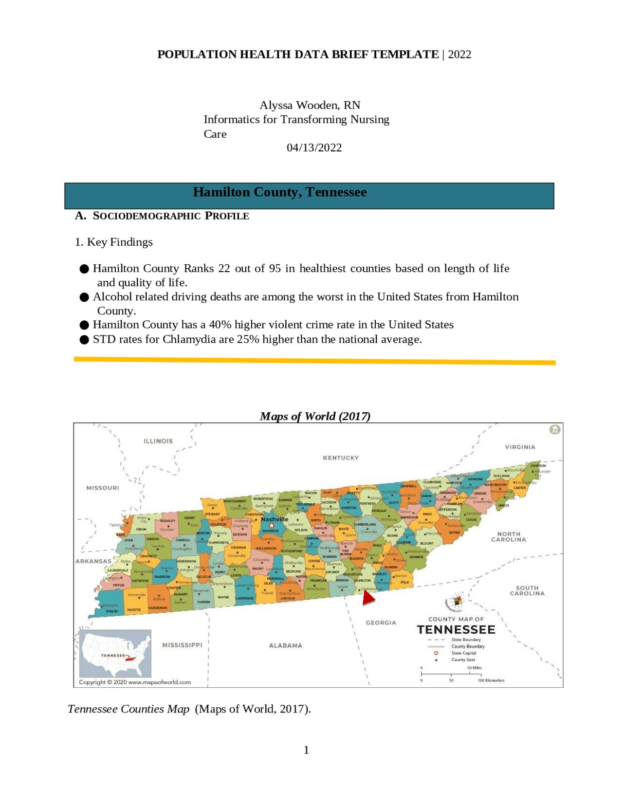 D029 Population Health Data Brief Template Exams Nursing Docsity
