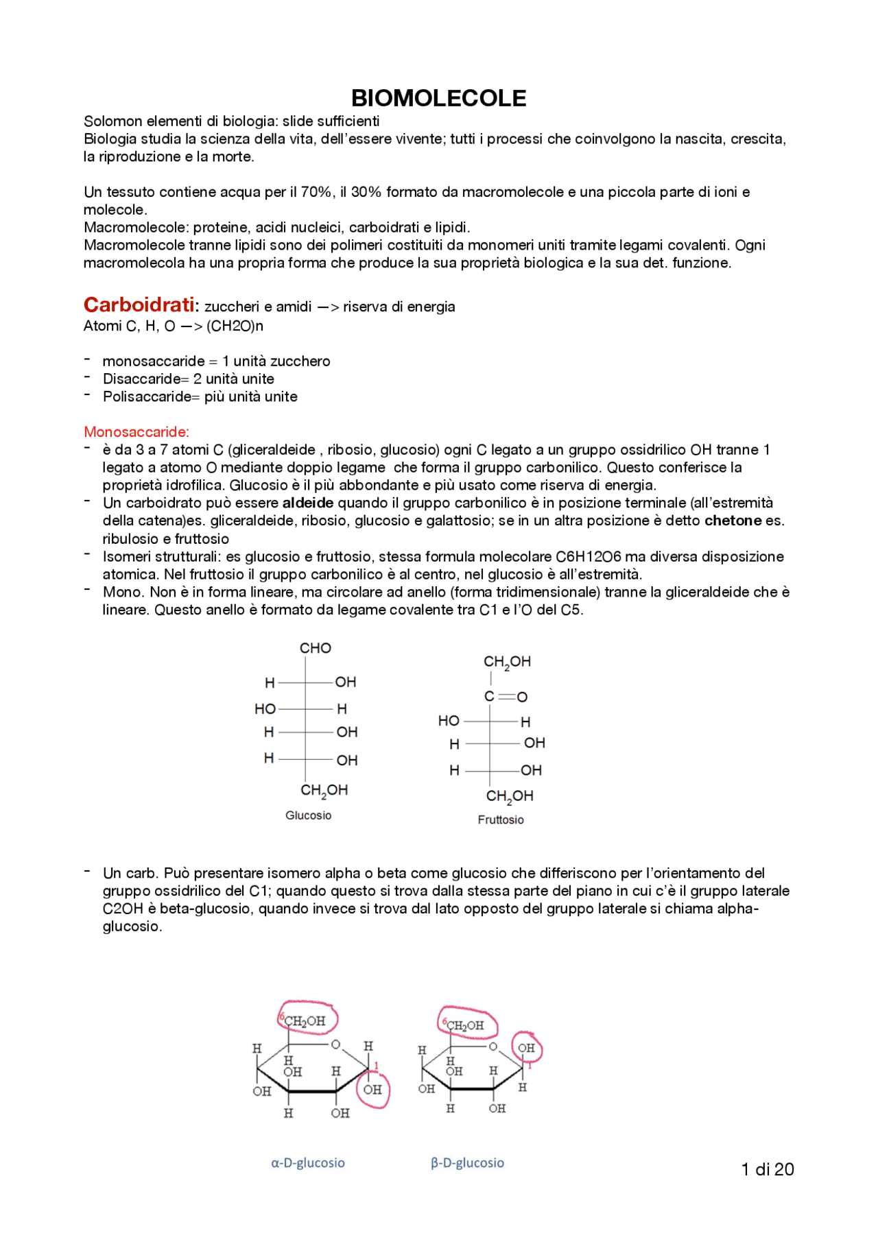 Biologia Applicata Infermieristica Appunti Di Infermieristica Docsity