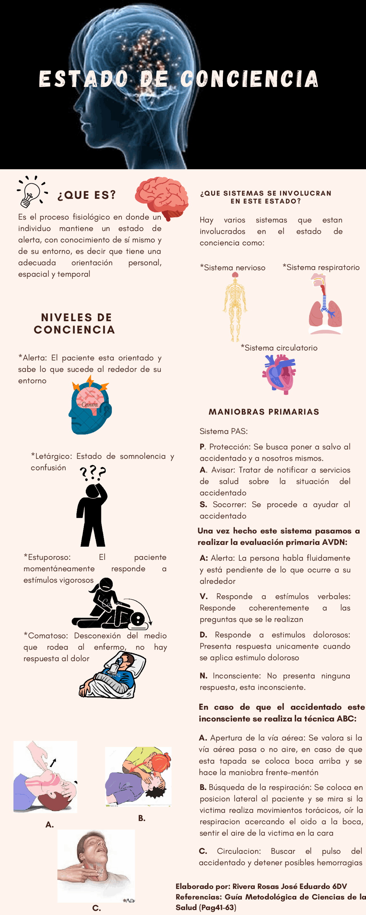 Estado de conciencia infografia | Esquemas y mapas conceptuales de ...