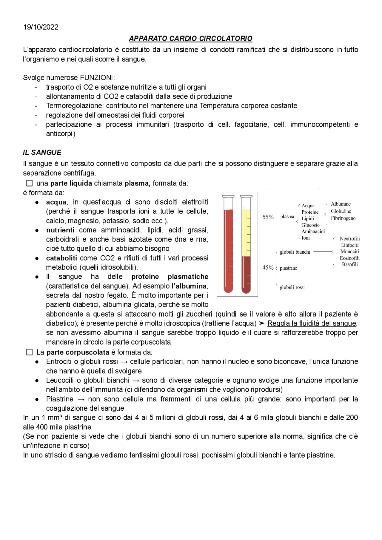 Appunti Di Tutte Le Lezioni Appunti Di Anatomia Docsity
