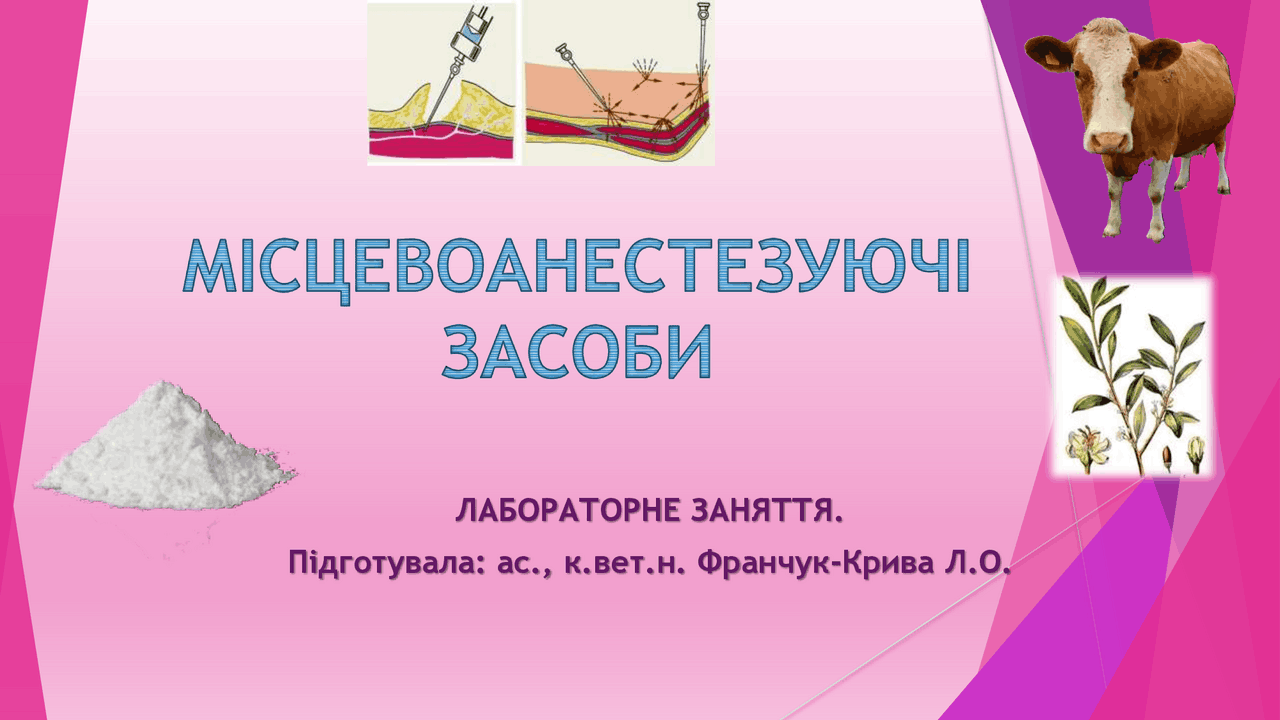 Фармакология Наука Учеба Конспекты лекций Фармакология Docsity
