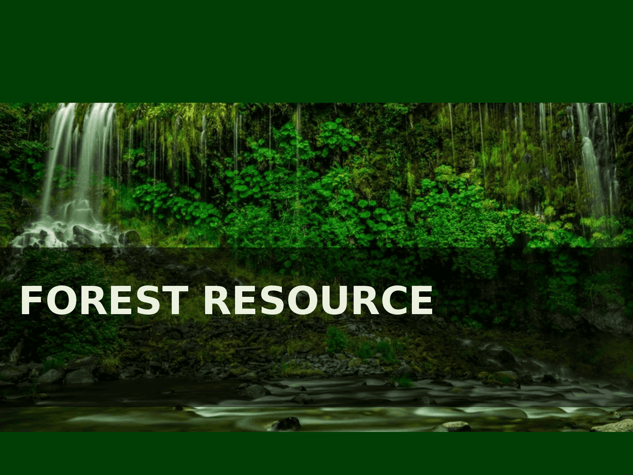 These are the documents of environmental science which includes forest ...