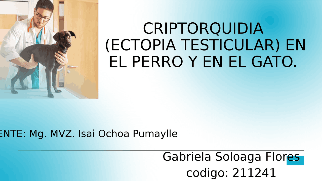 Enfermedades y casos | Schemes and Mind Maps of Veterinary medicine ...