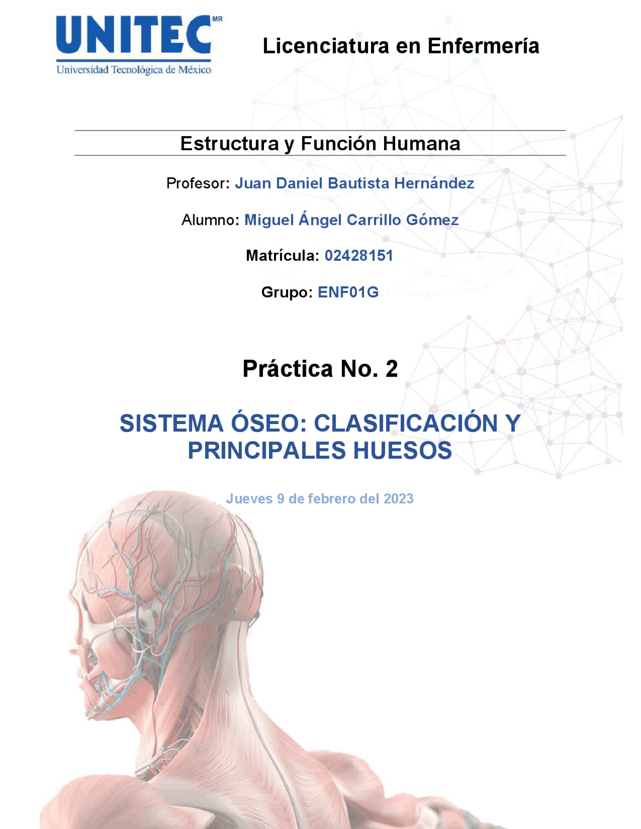 PRACTICA DE ESTRUCTURA Y FUNCION HUMANA 1 | Guías, Proyectos ...