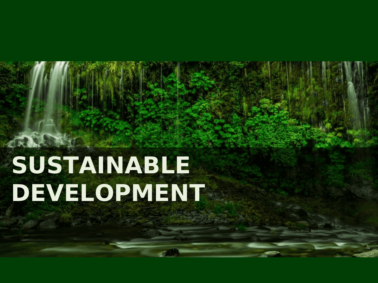 These Are The Documents Of Environmental Science Which Includes Forest