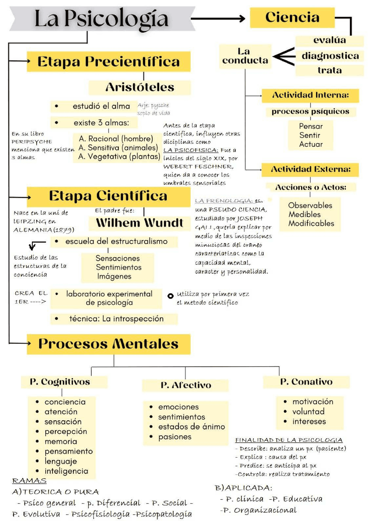Psicología científica | Esquemas y mapas conceptuales de Psicología ...