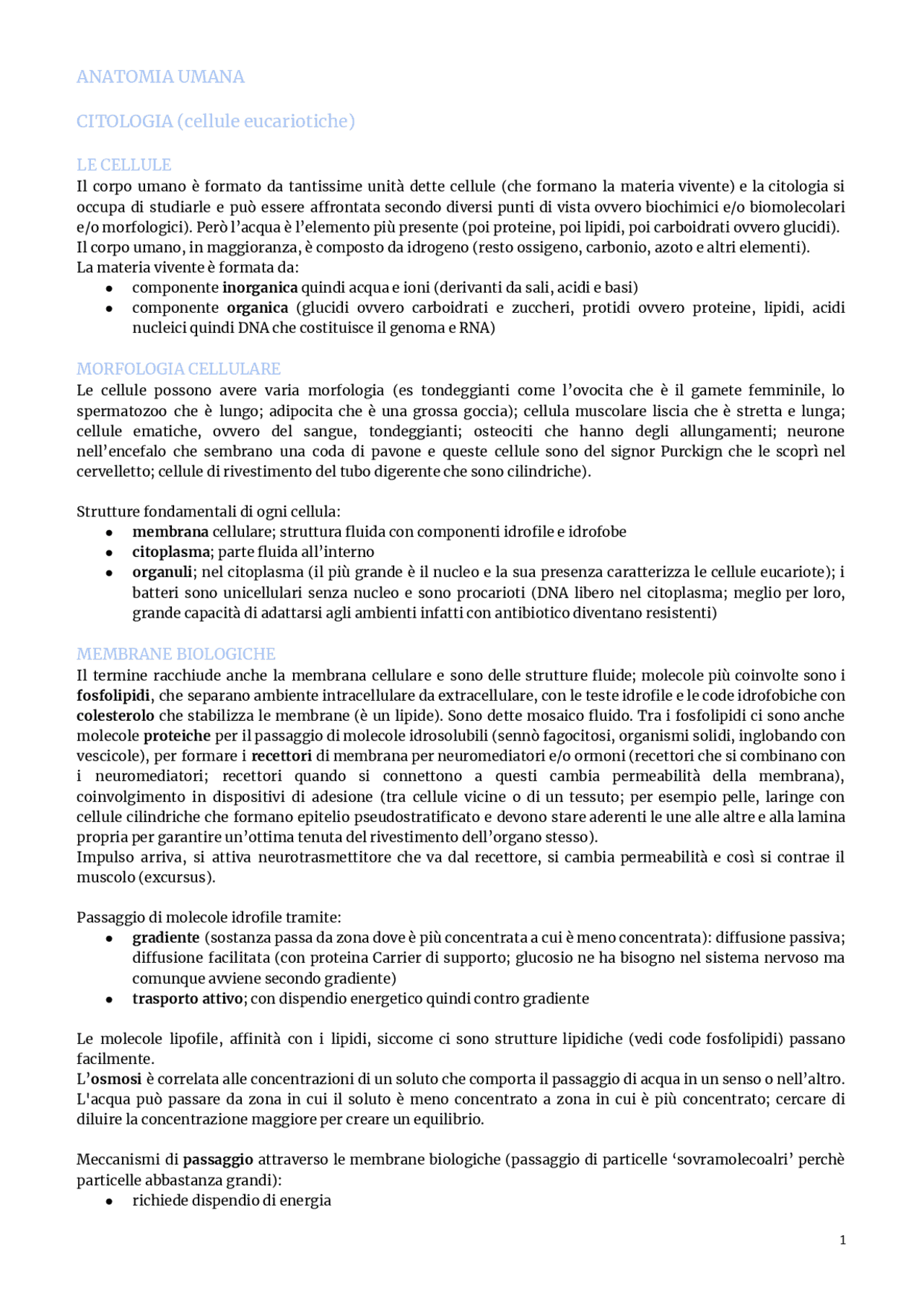 Anatomia Umana Università Appunti Di Anatomia Docsity