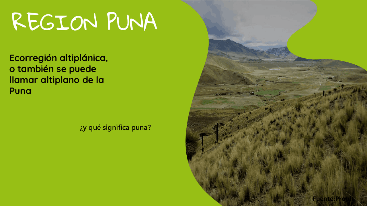 LA REGION PUNA EN PERU | Diapositivas de Ciencias Naturales | Docsity