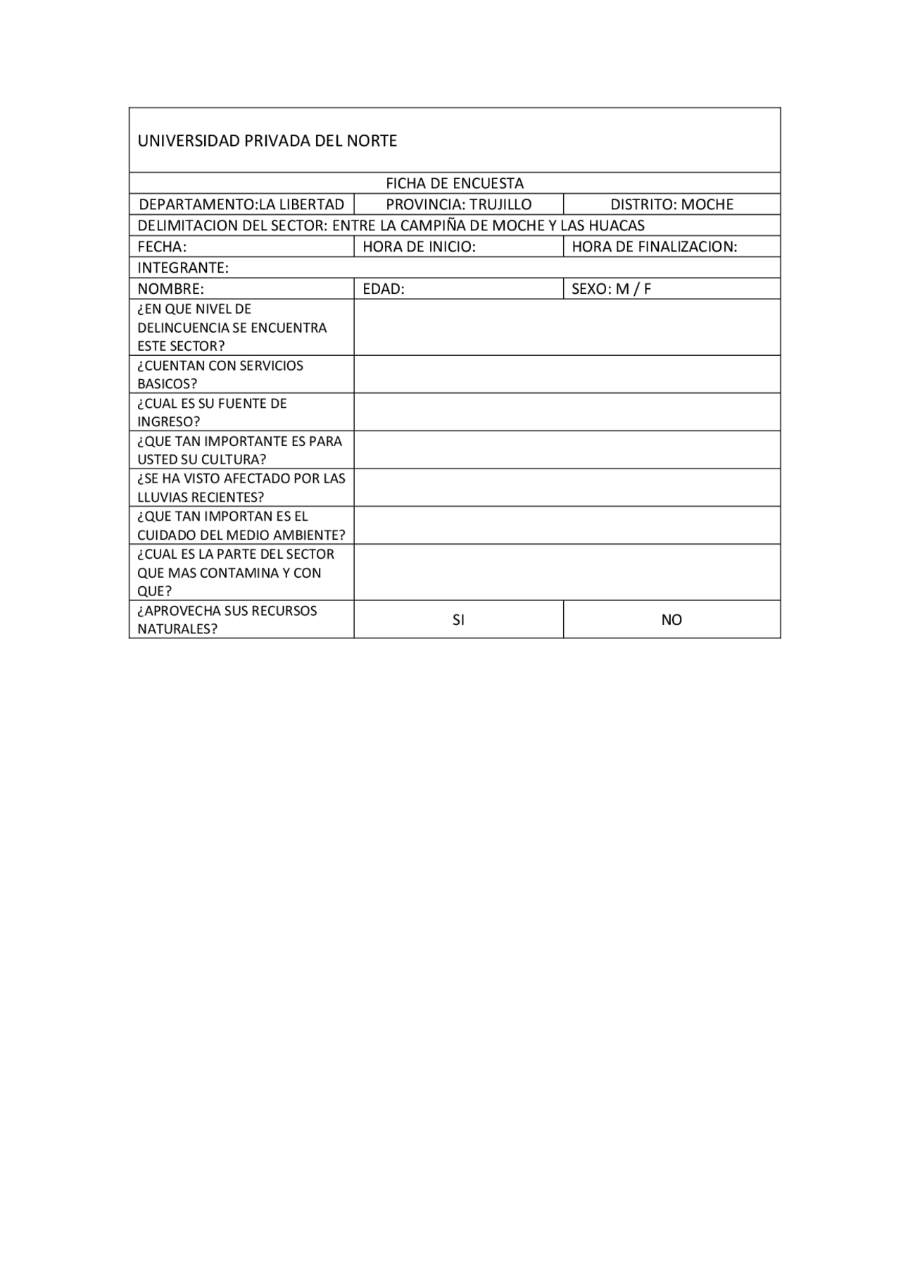 Ficha De Planificacion Monografías Ensayos De Economía Laboral Docsity