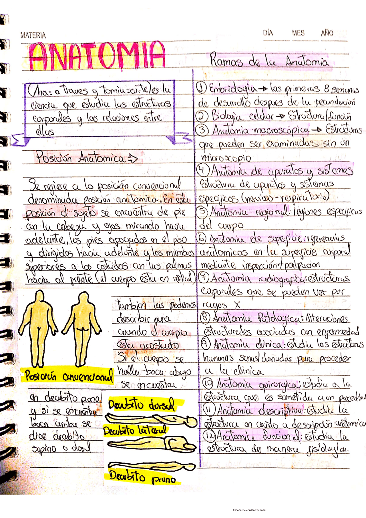 Generalidades de la anatomia | Apuntes de Anatomía | Docsity