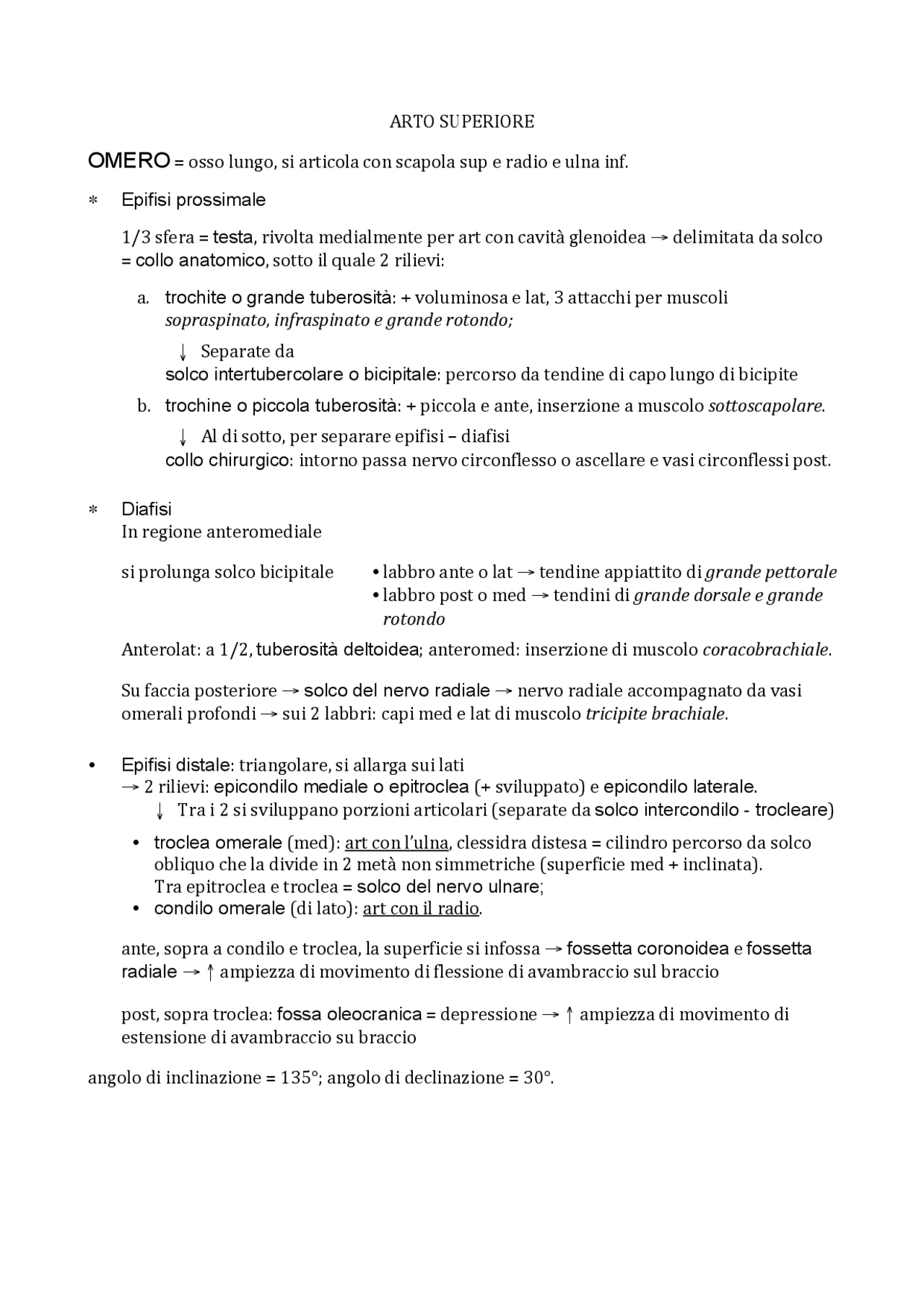 Anatomia Dellarto Superiore Appunti Di Anatomia I Docsity
