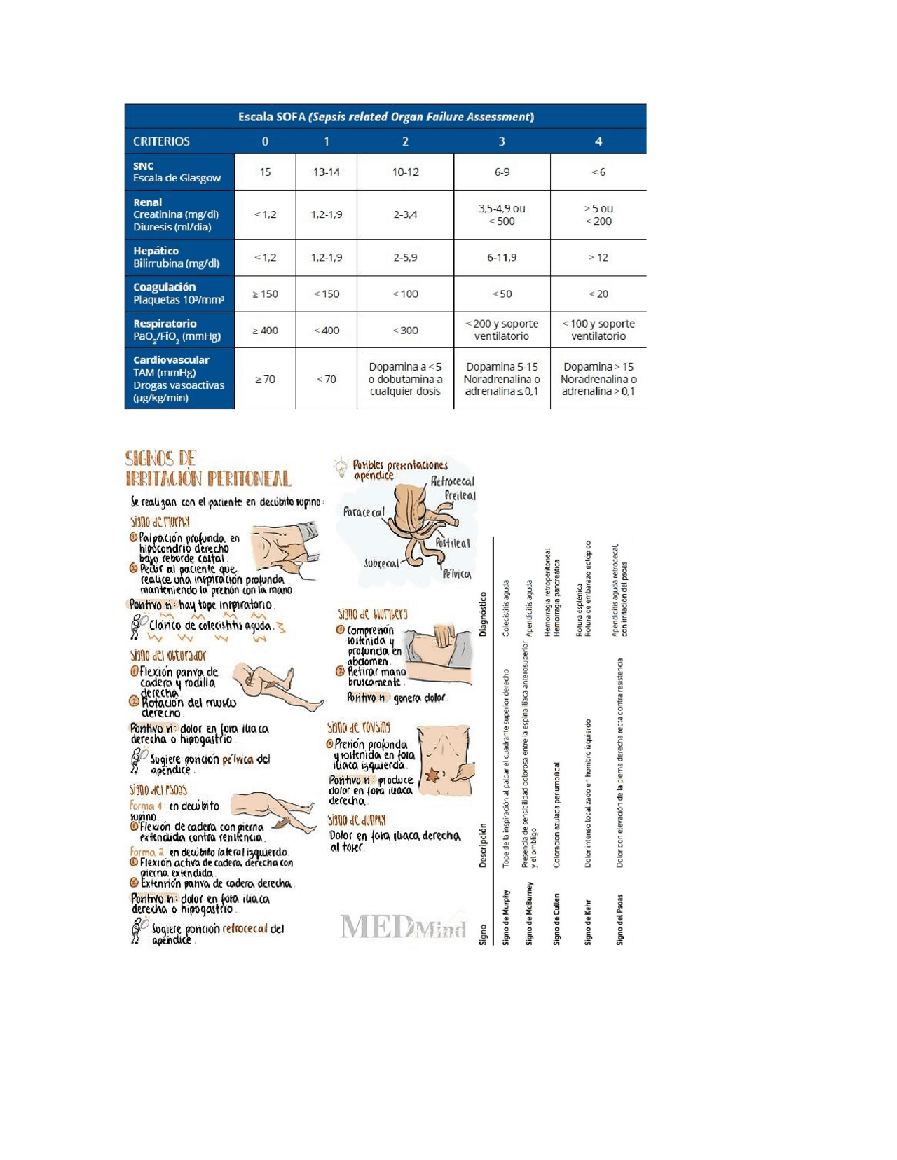 evc isquemico u o hemorragico | Esquemas y mapas conceptuales de ...