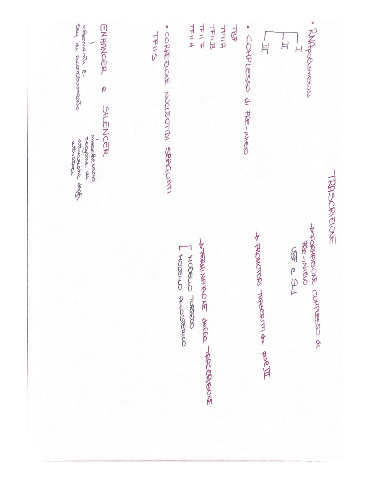 TRASCRIZIONE MOLECOLARE | Schemi e mappe concettuali di Biologia Molecolare | Docsity