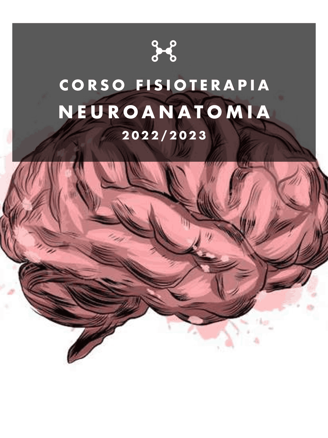 Anatomia Neuroanatomia Appunti Di Anatomia Docsity