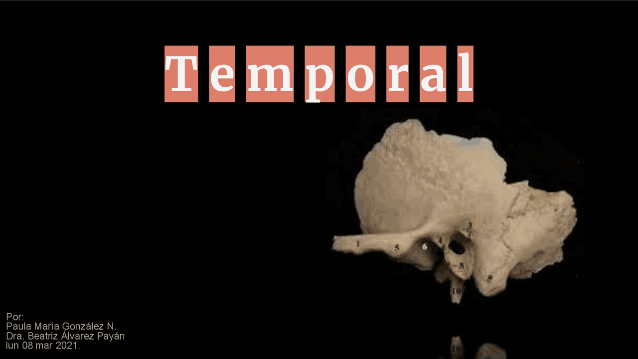 Resumen Del Hueso Frontal Anatomía Cabeza Y Cuello Apuntes De