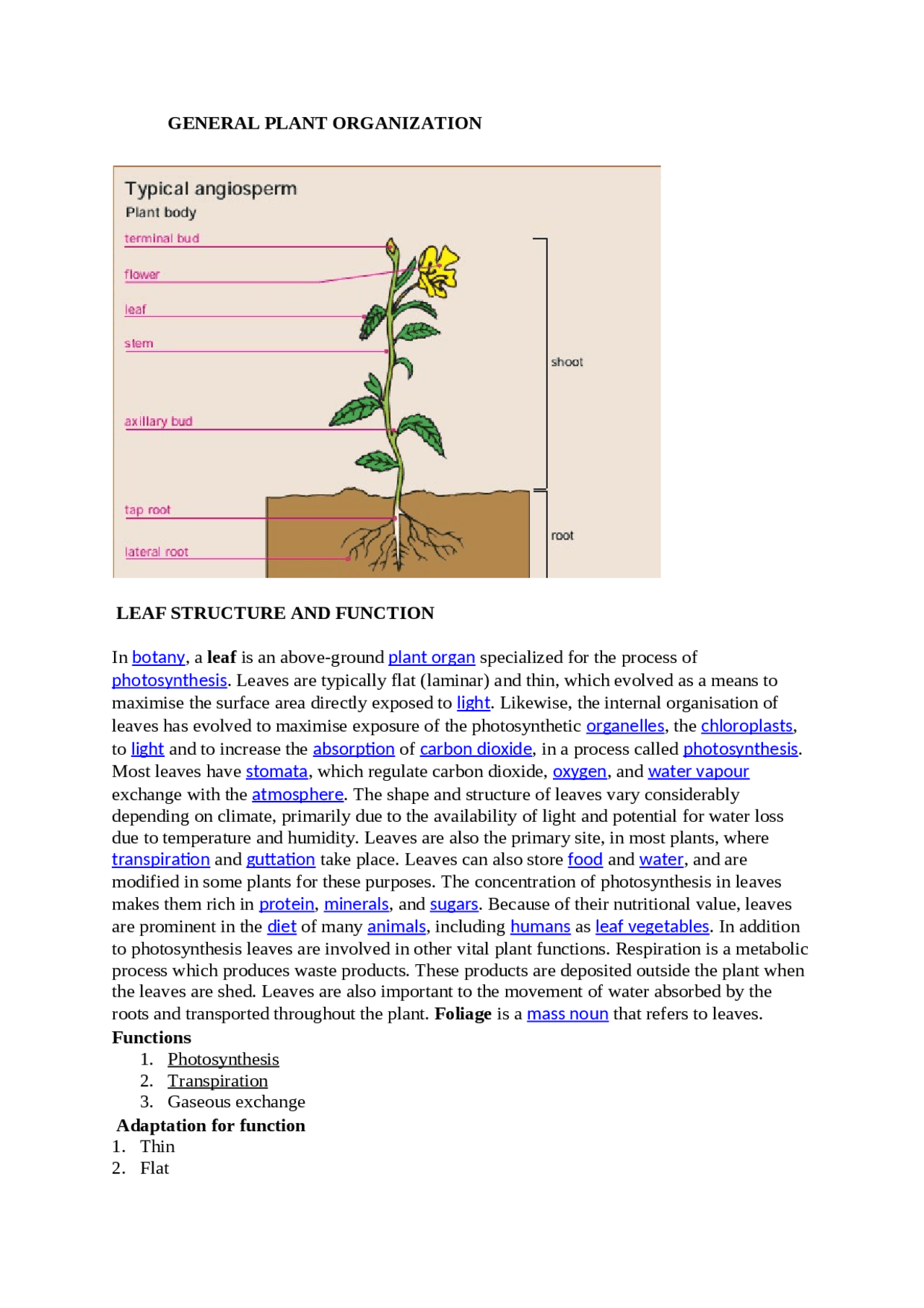 Biology leaf and stem pdf | Lecture notes Biology | Docsity