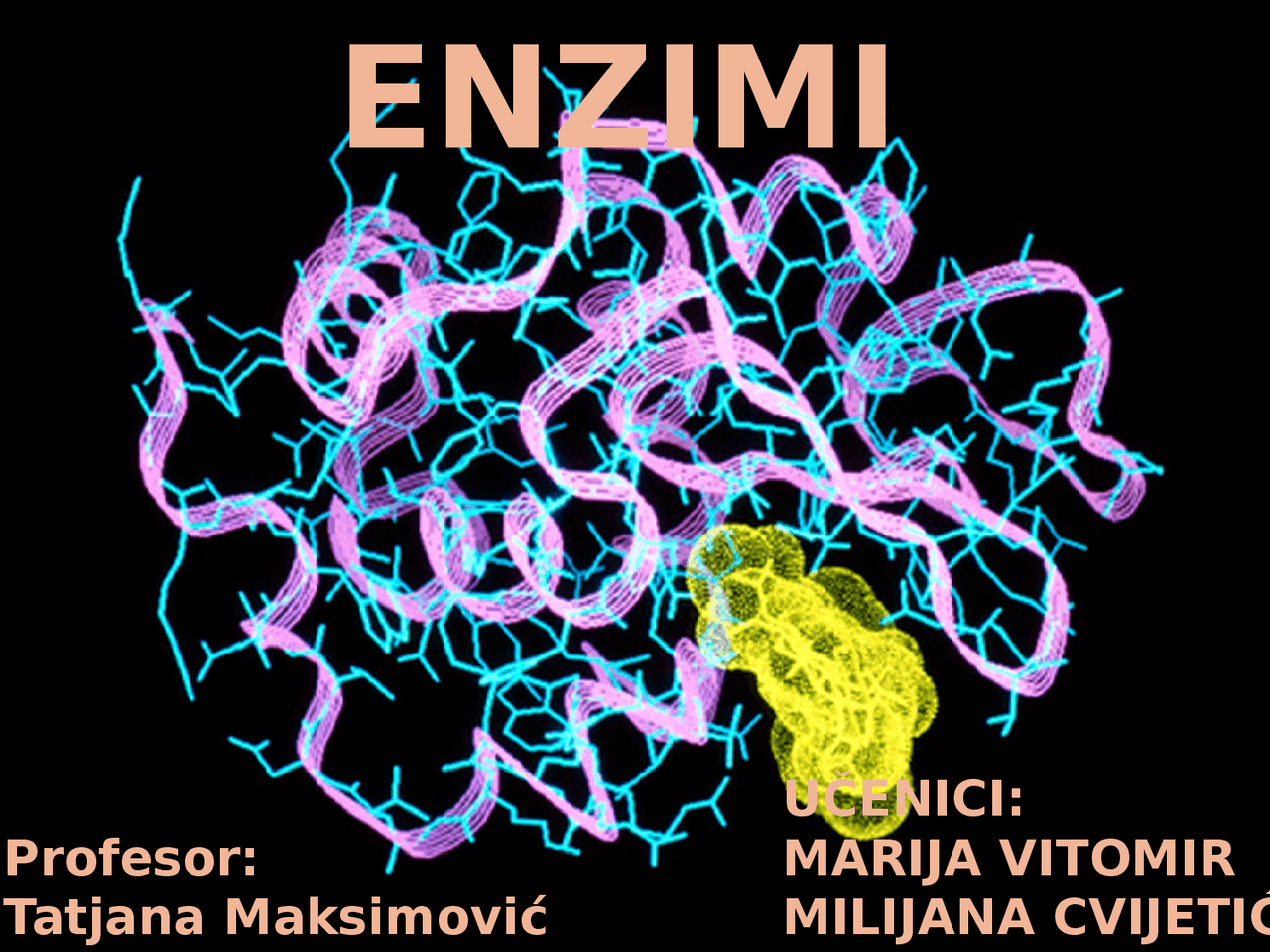 Enzimi-podjela i funkcija enzima | Beleške' predlog Hemija | Docsity
