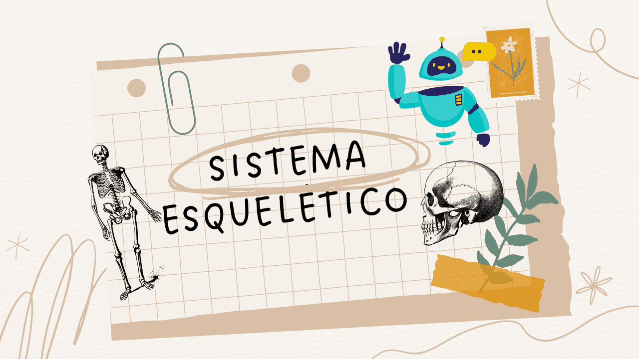 Presentación Sistema Esquelético Diapositivas De Biología Docsity