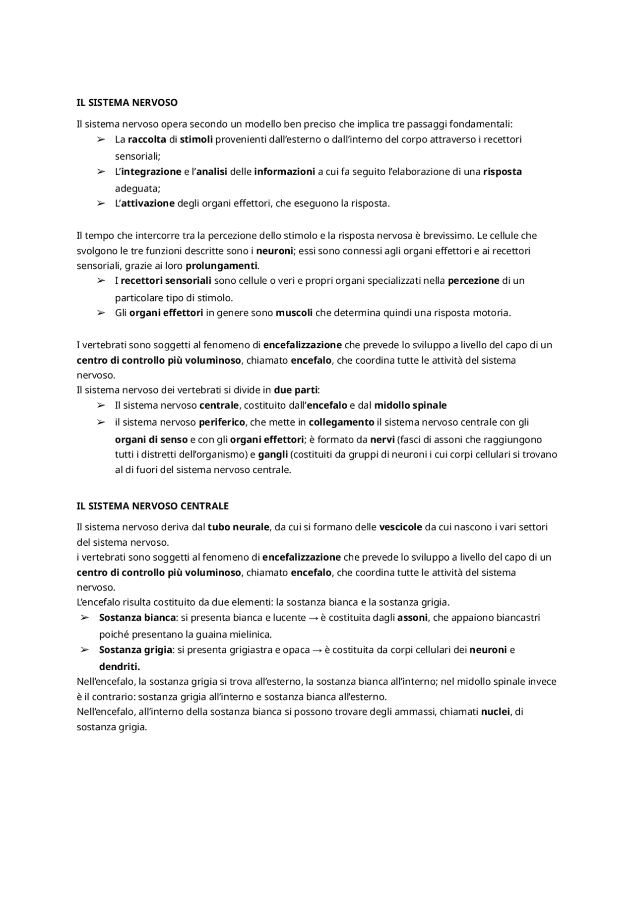 Il Sistema Nervoso Centrale E Periferico Appunti Di Biologia Docsity