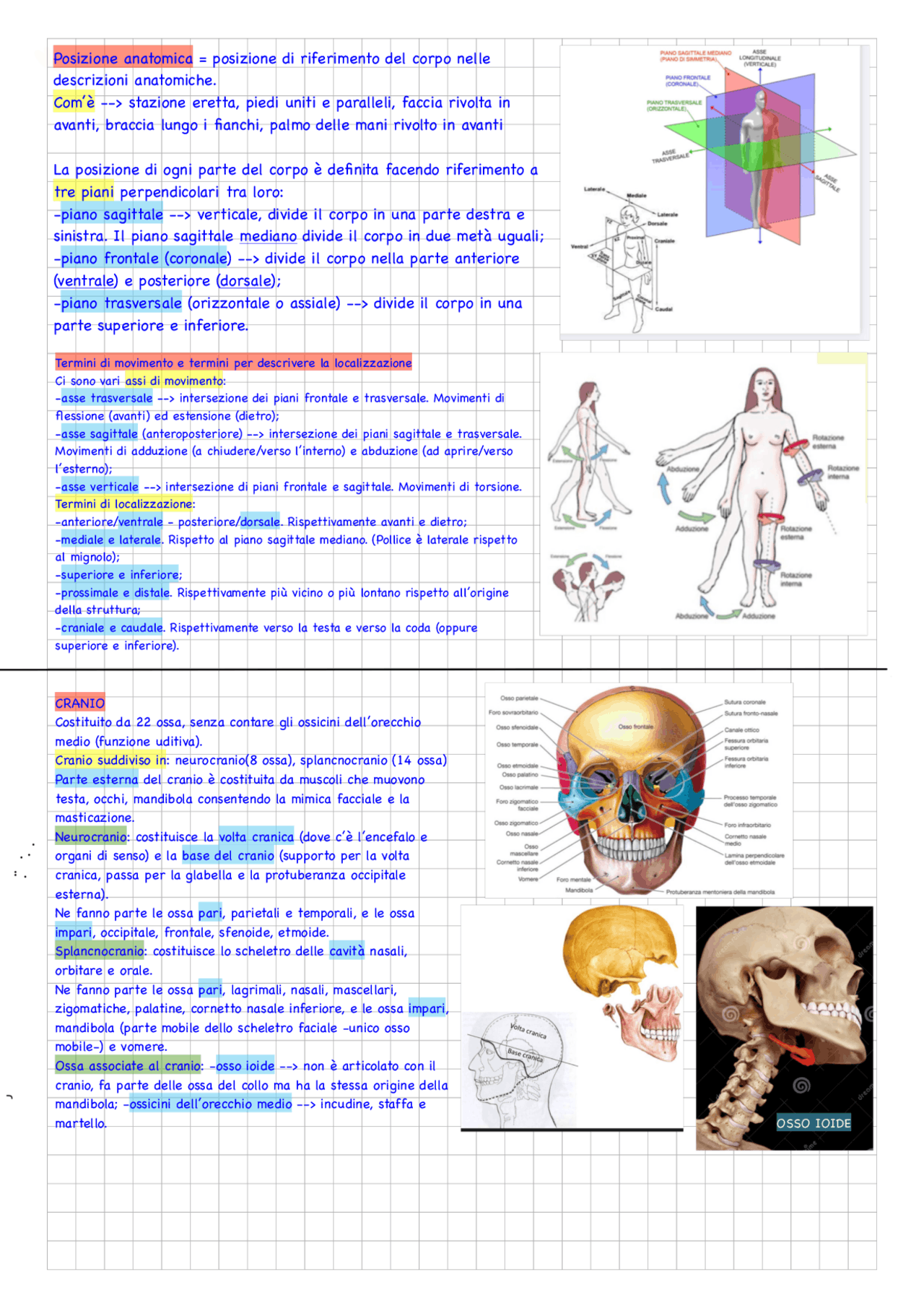 Anatomia: posizione anatomica, ossa del cranio. | Appunti di Anatomia | Docsity