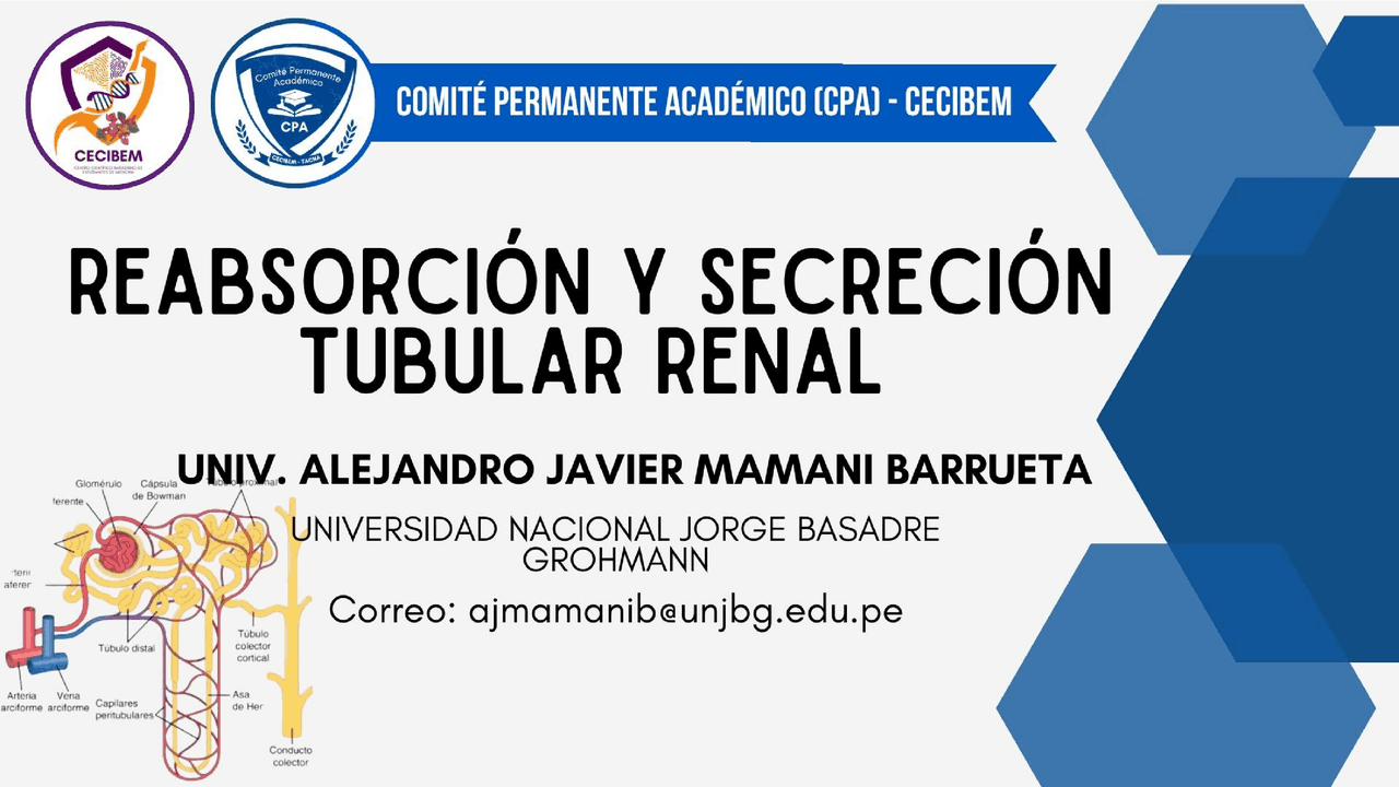Reabsorción y Secreción Tubular: Un Análisis Detallado del Proceso ...