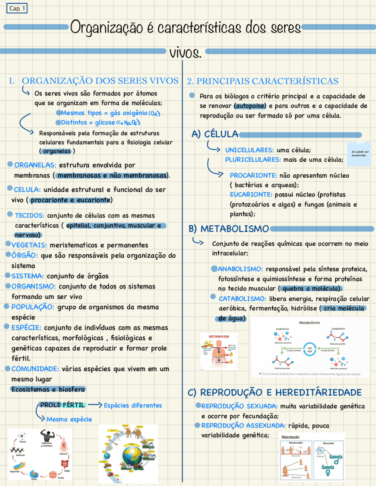 Características Dos Seres Vivos Resumos Biologia Docsity