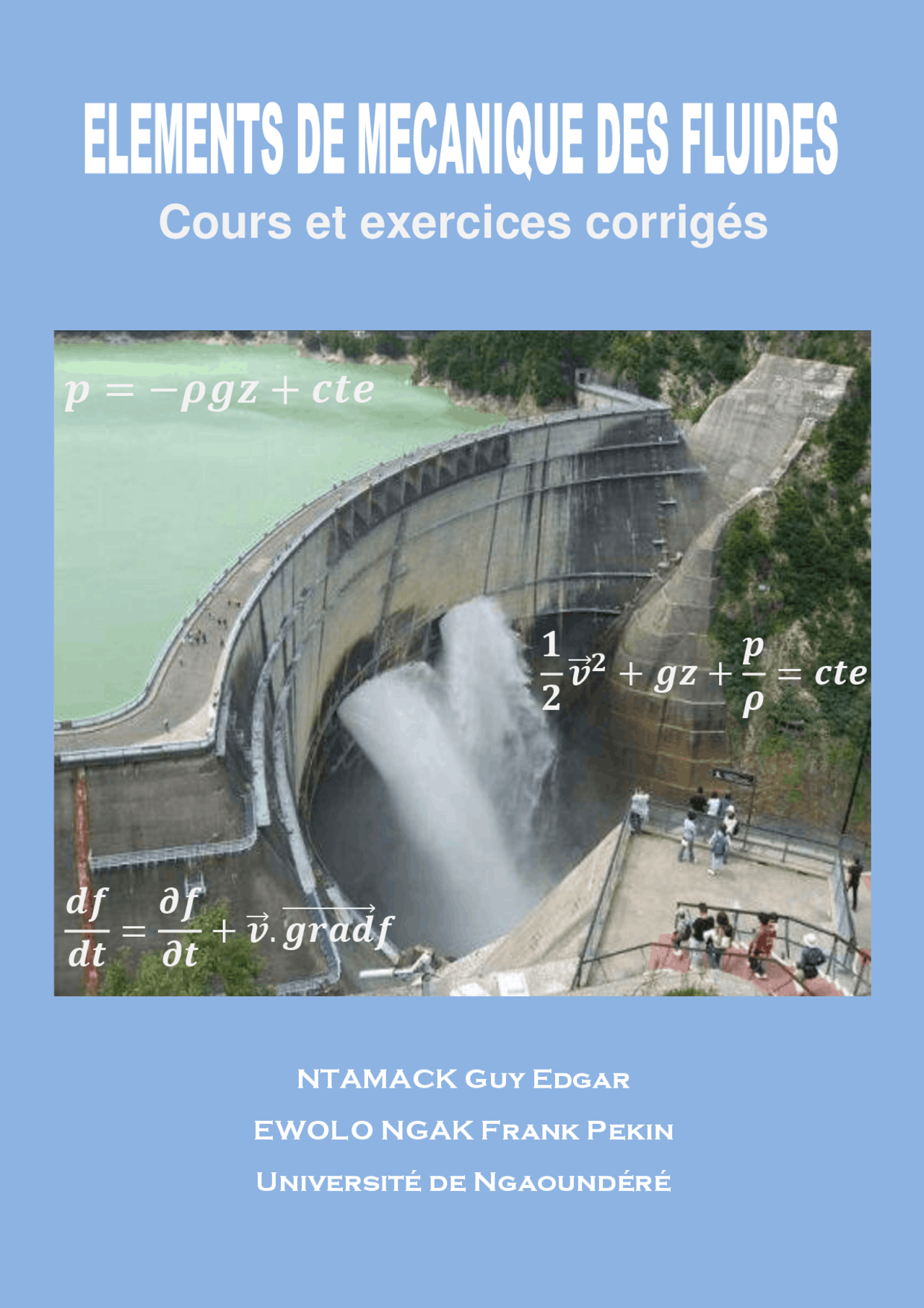 Éléments de mécanique des fluides | Assignments Physics | Docsity