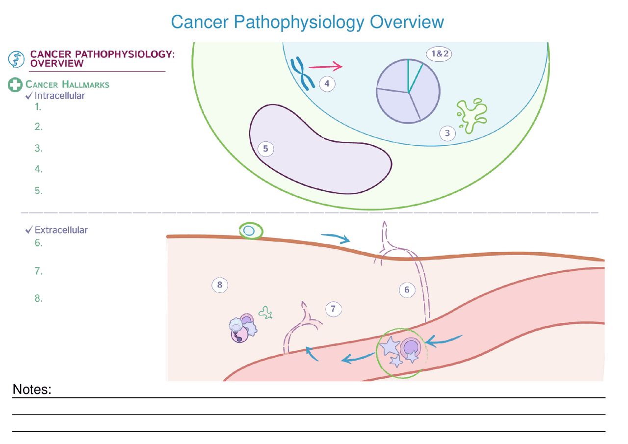 Cancer Pathophysiology Overview | Study notes Pathophysiology | Docsity