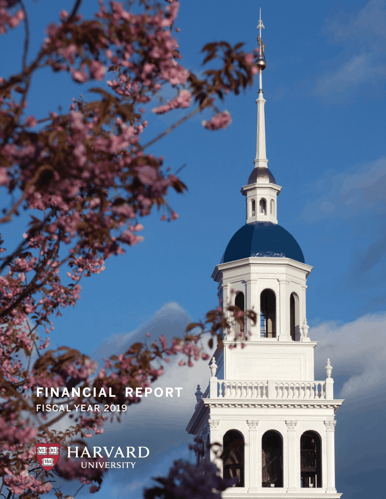 Harvard University Financial Report: Fiscal Year 2019 | Schemes and ...