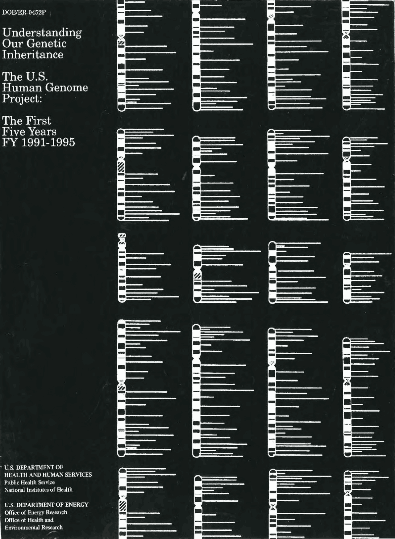 Mapping and Sequencing the Human Genome | Study notes Genetics | Docsity