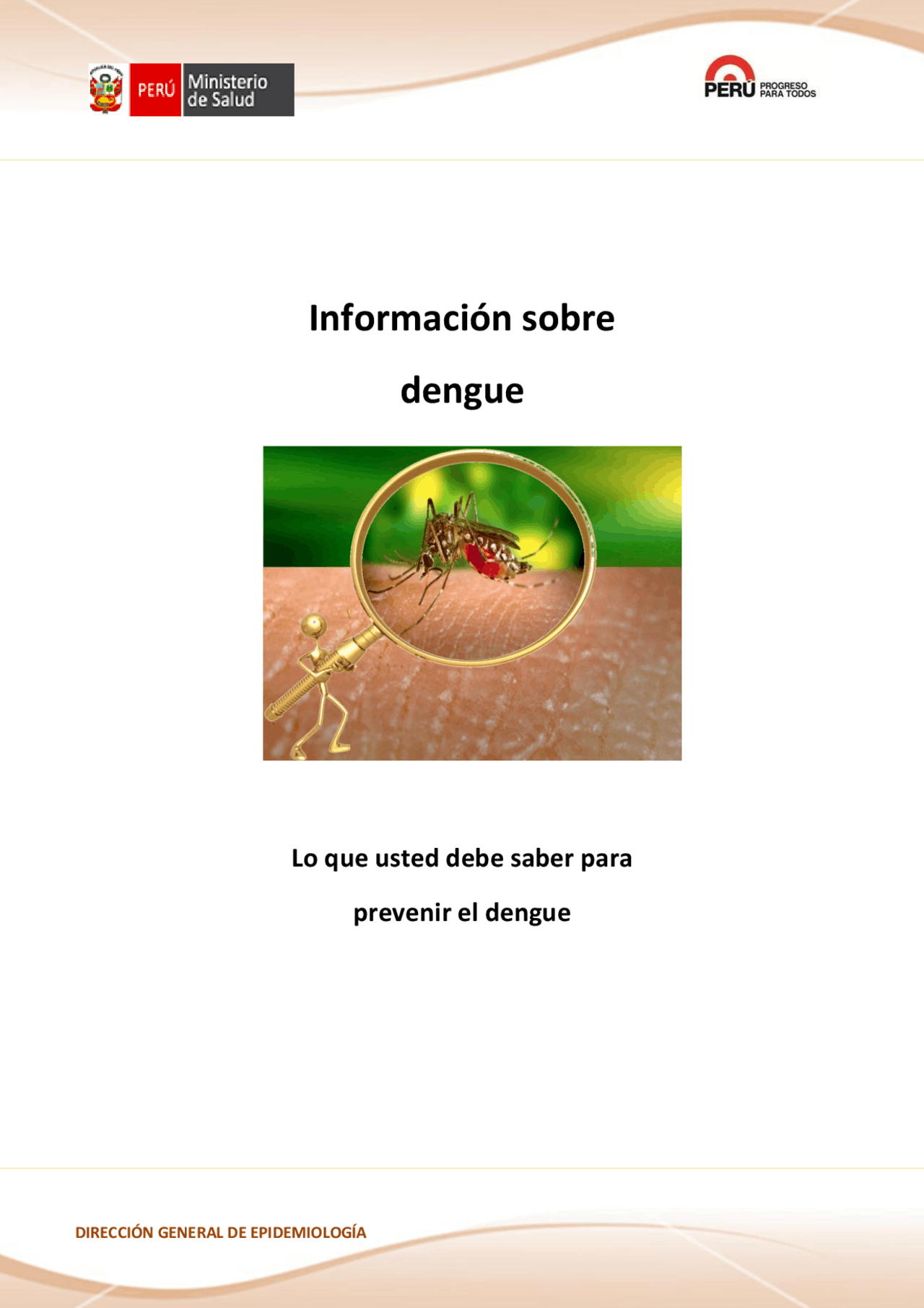Información sobre el dengue: Prevención y control | Essays (high school ...