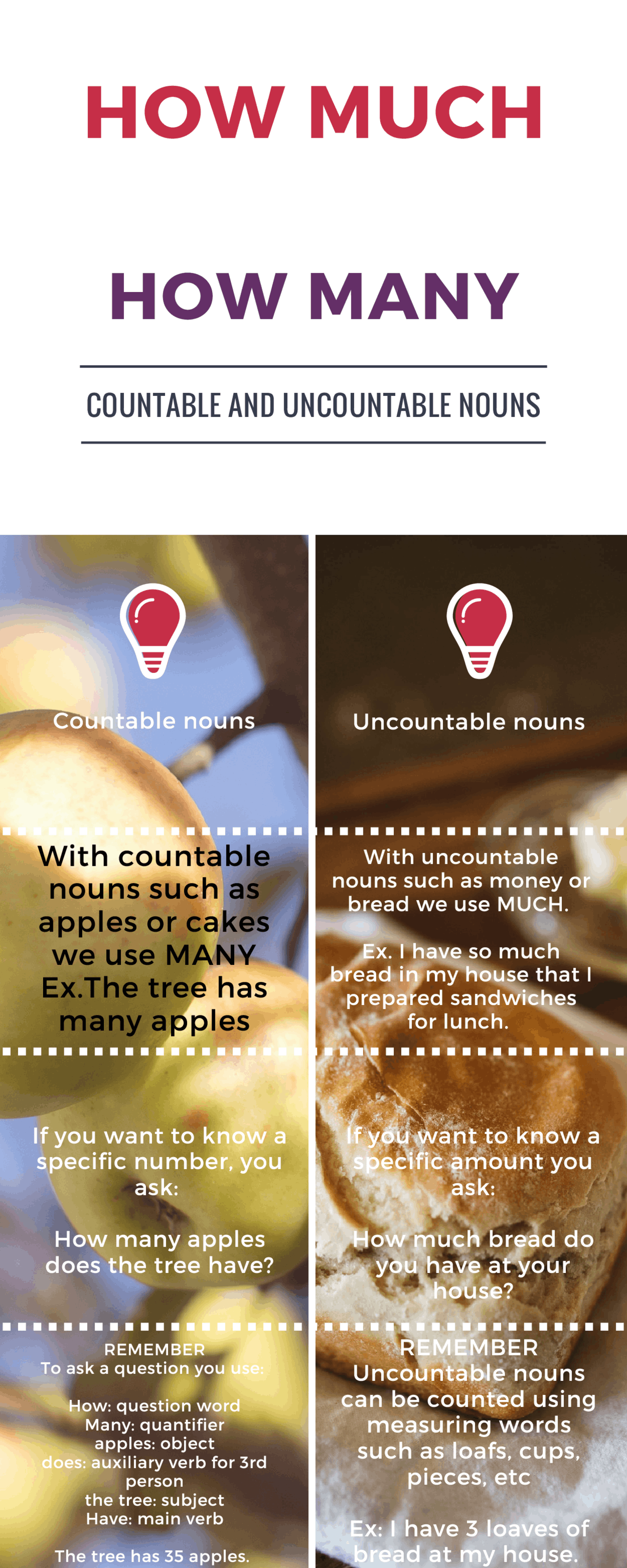 Countable and Uncountable Nouns: How Much vs How Many | Guías ...