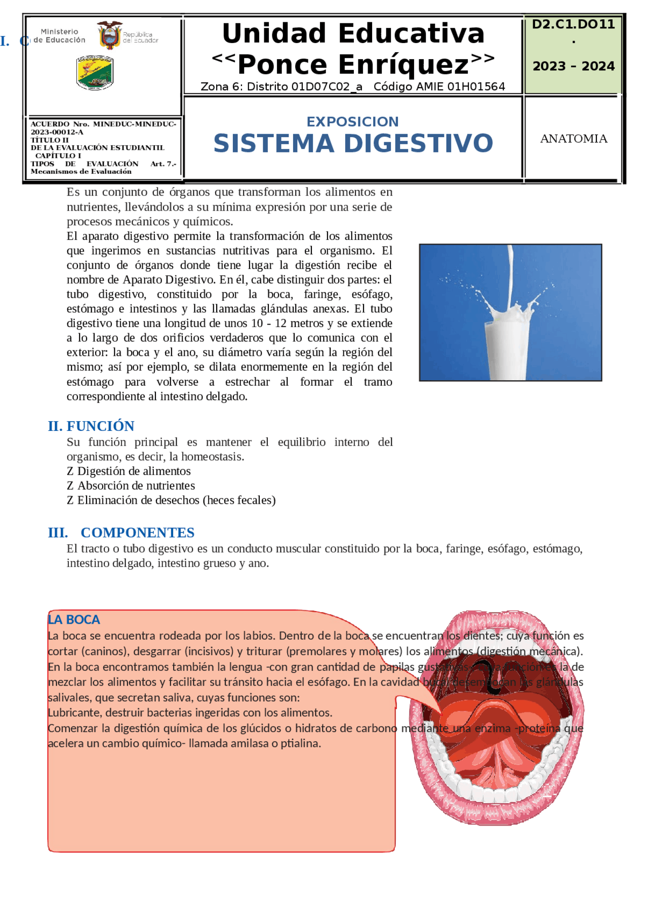 Anatomia Aplicada Acerca Del Sistema Respiratorio Y Sus Funciones