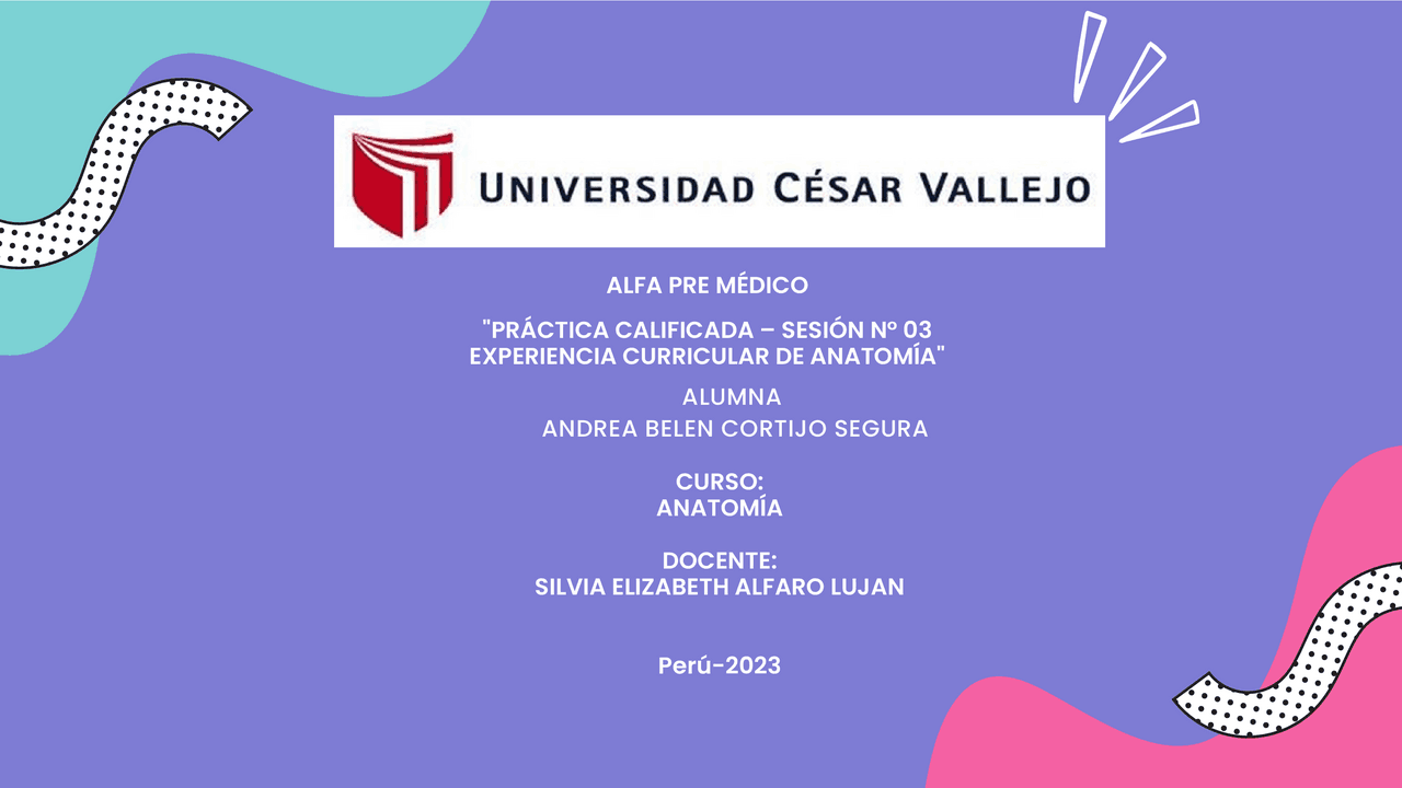 AnatomÍa Clases SesiÓn3 Apuntes De Anatomía Aplicada Docsity