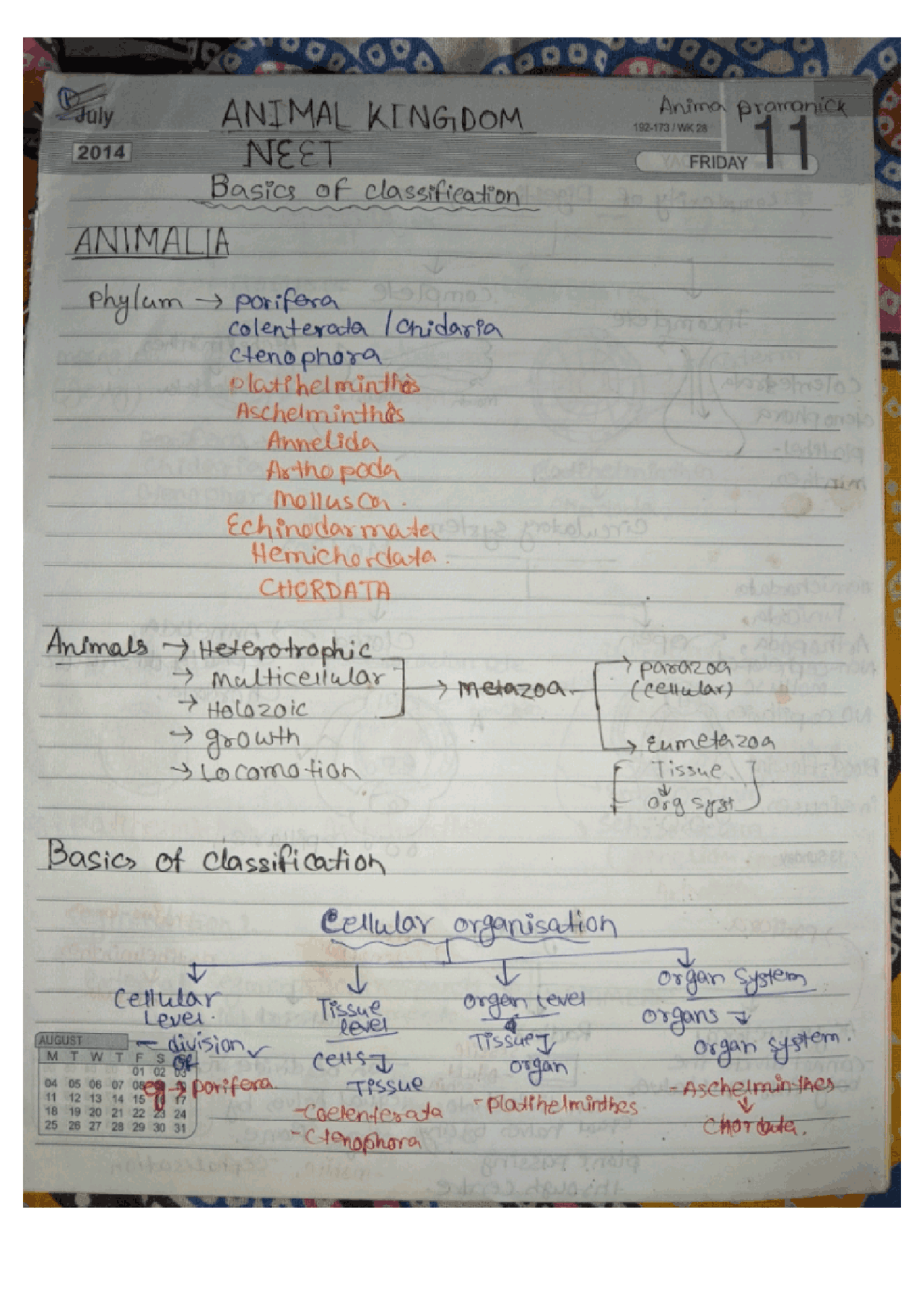 Animal kingdom class notes for neet UG and board exam | Lecture notes ...