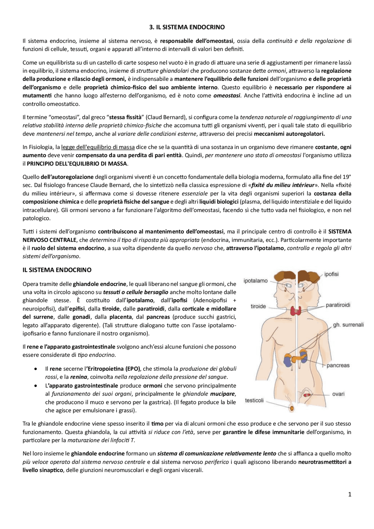 Spiegazione Del Sistema Ormonale Integrata Con Libro E Immagini