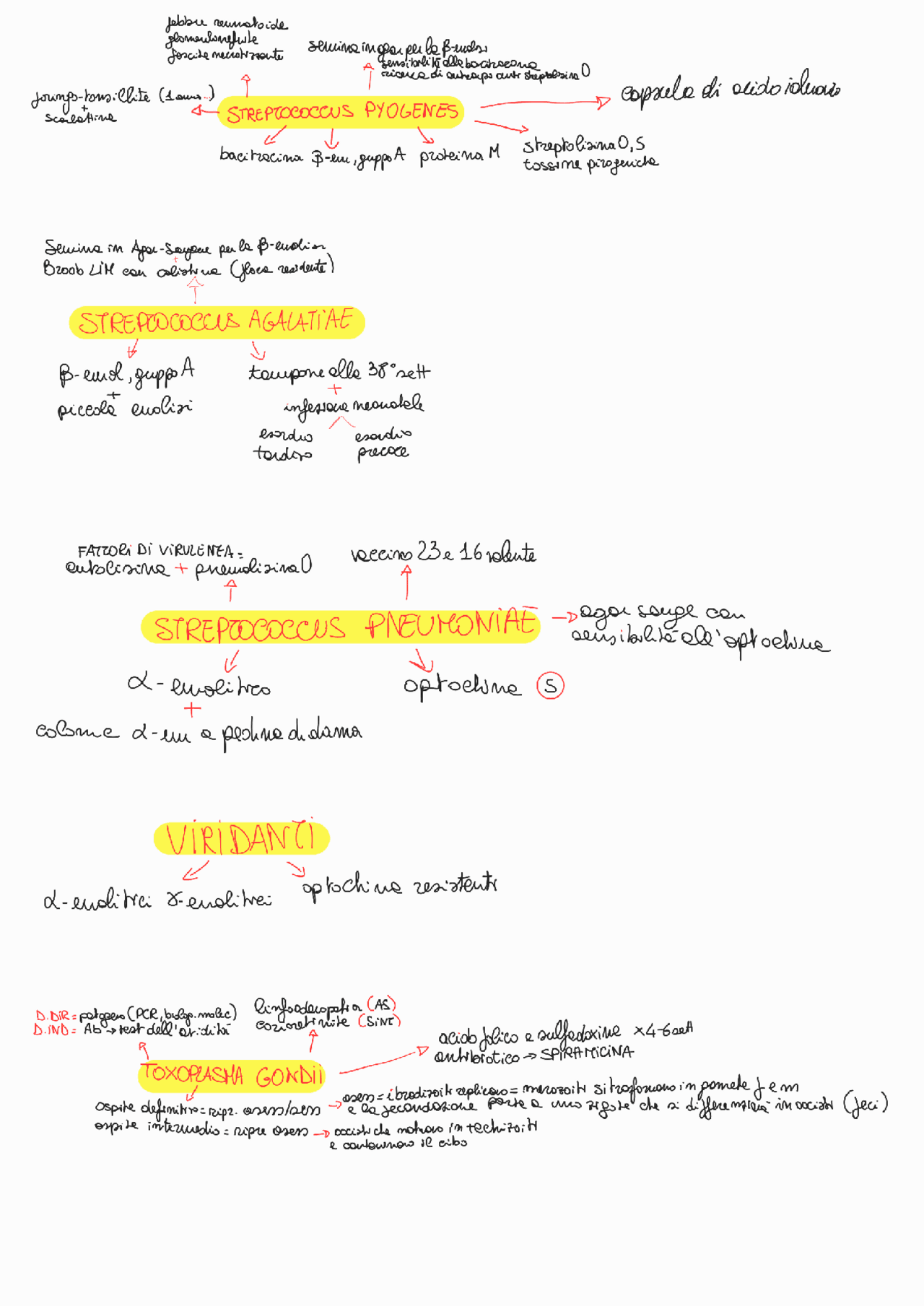 Schema Batteriologiamicrobiologia Schemi E Mappe Concettuali Di