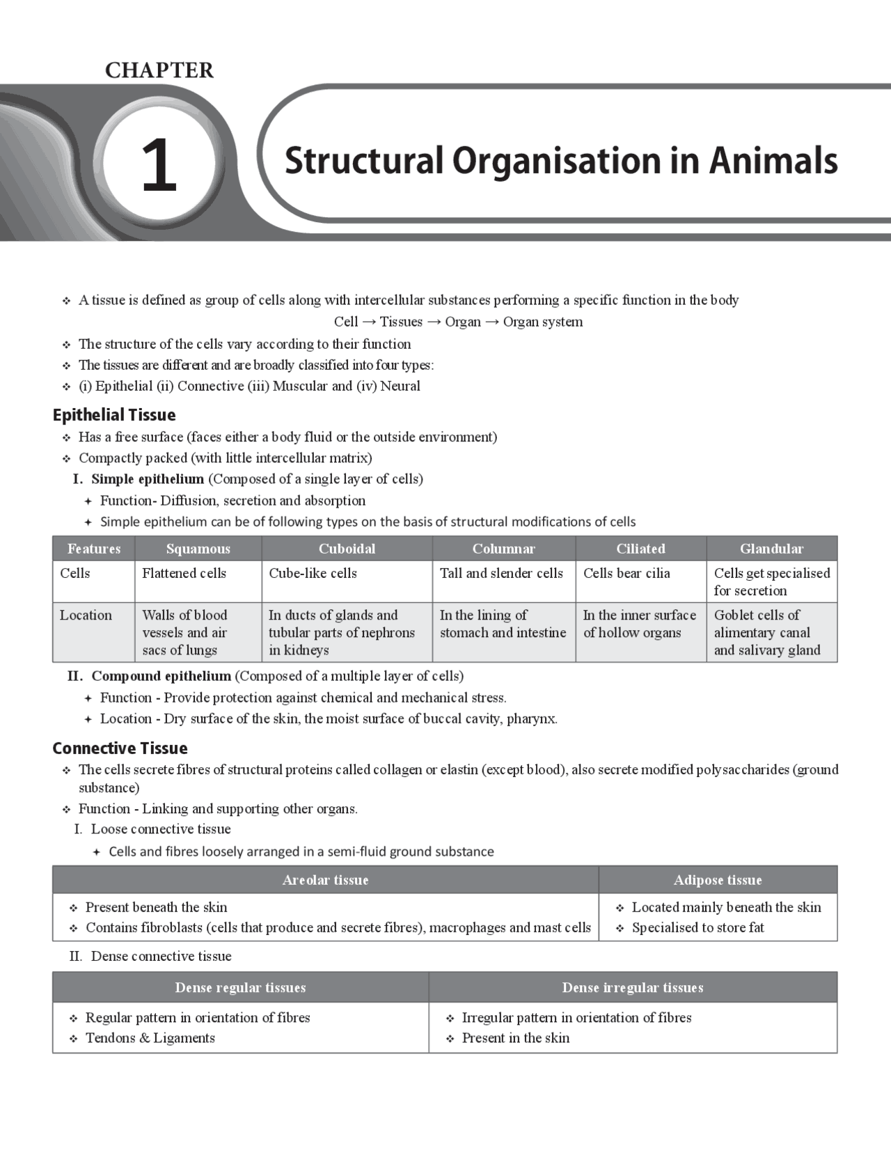 These Documents Helpful To Revision Schemes And Mind Maps Biology