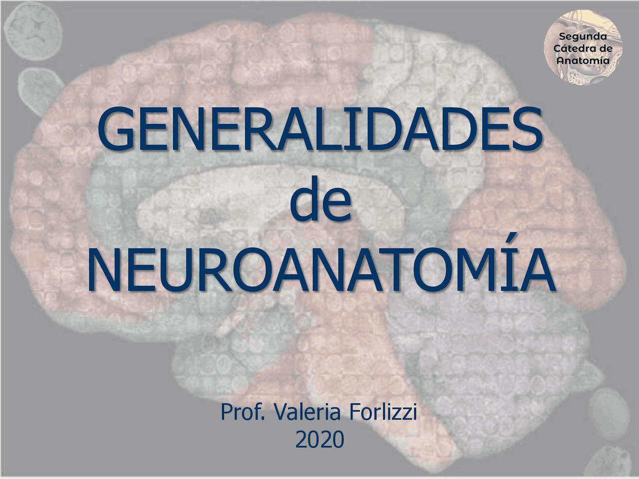 Neuroanatomia Generalidades Apuntes De Anatomía Docsity