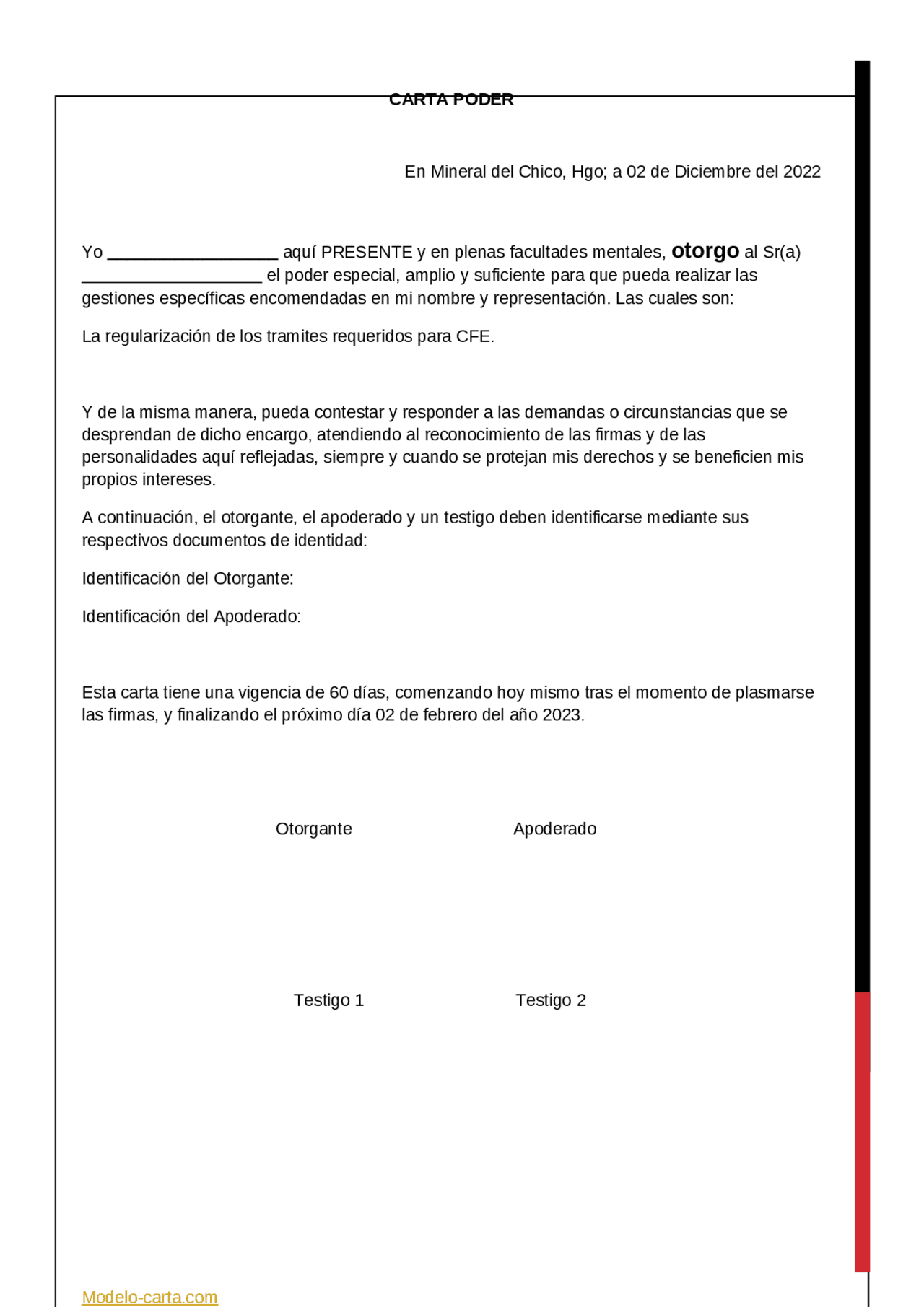 Carta Poder Simple en blanco | Transcripciones de Literatura Universal ...