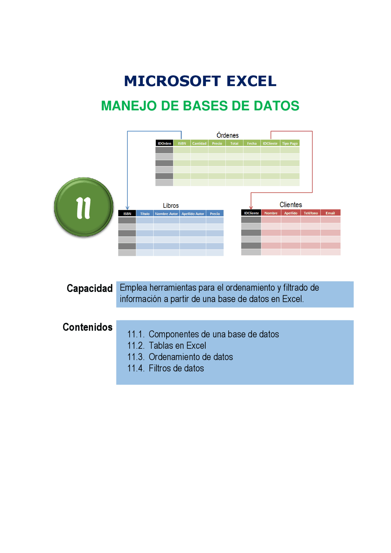 Computacion avanzado, excel avanzado | Resúmenes de Computación aplicada | Docsity